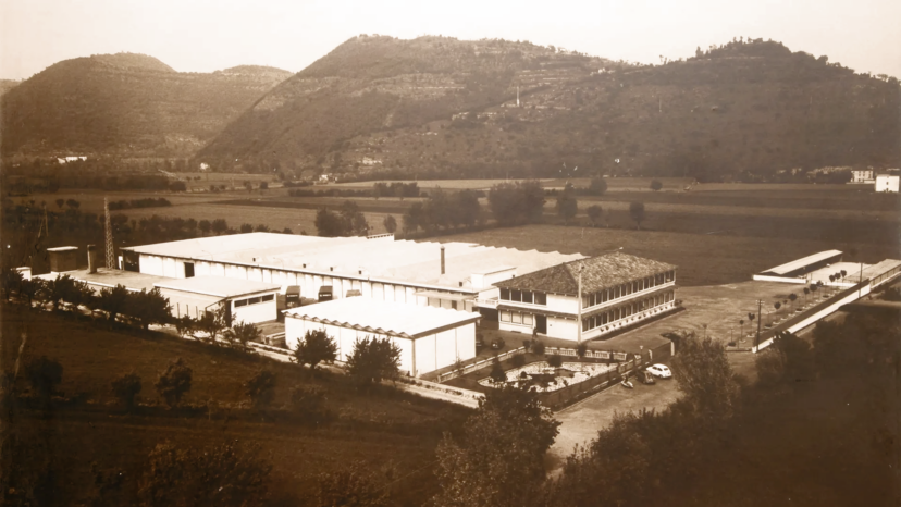 The History of Mainetti | Mainetti